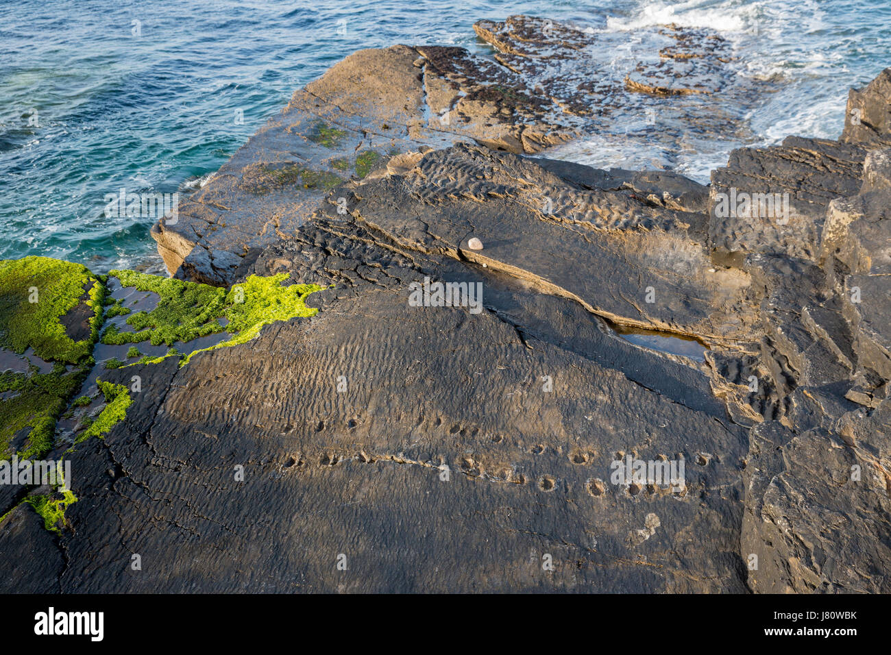 Early Tetrapod trackway, Valentia Island, County Kerry Ireland Stock ...
