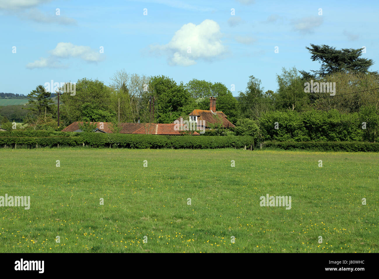 Brabourne lane hi-res stock photography and images - Alamy