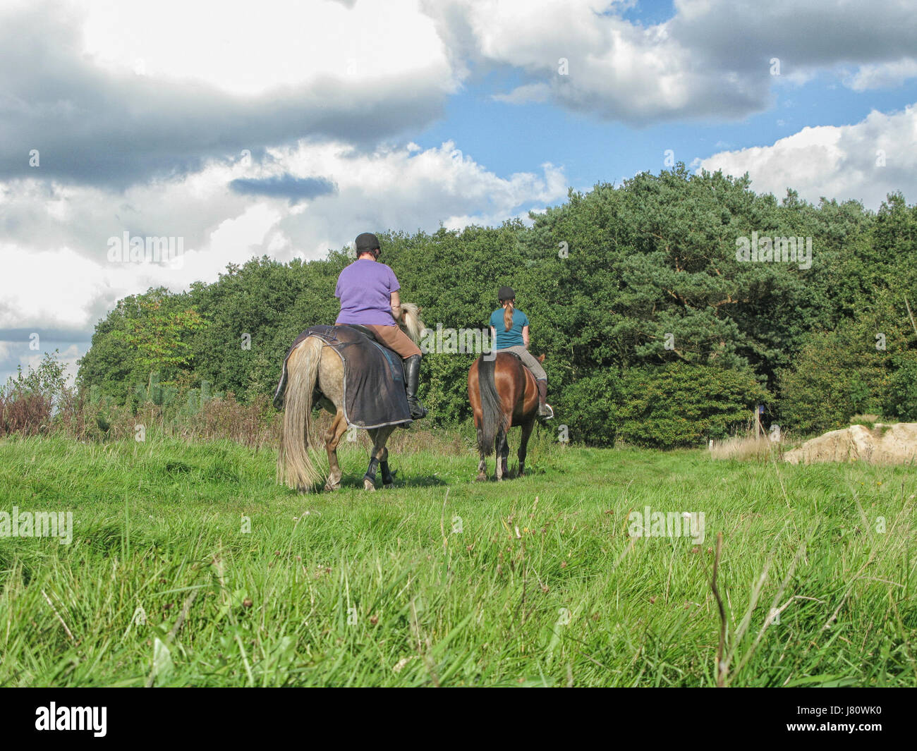Two girls on horses seen on the back Stock Photo - Alamy