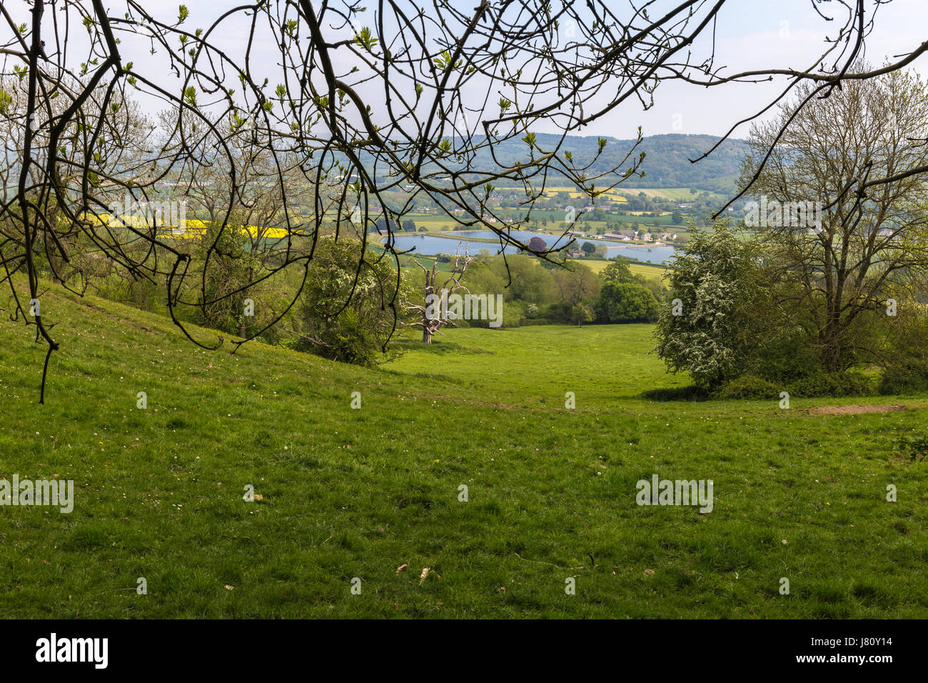 Witcombe reservoir hi-res stock photography and images - Alamy