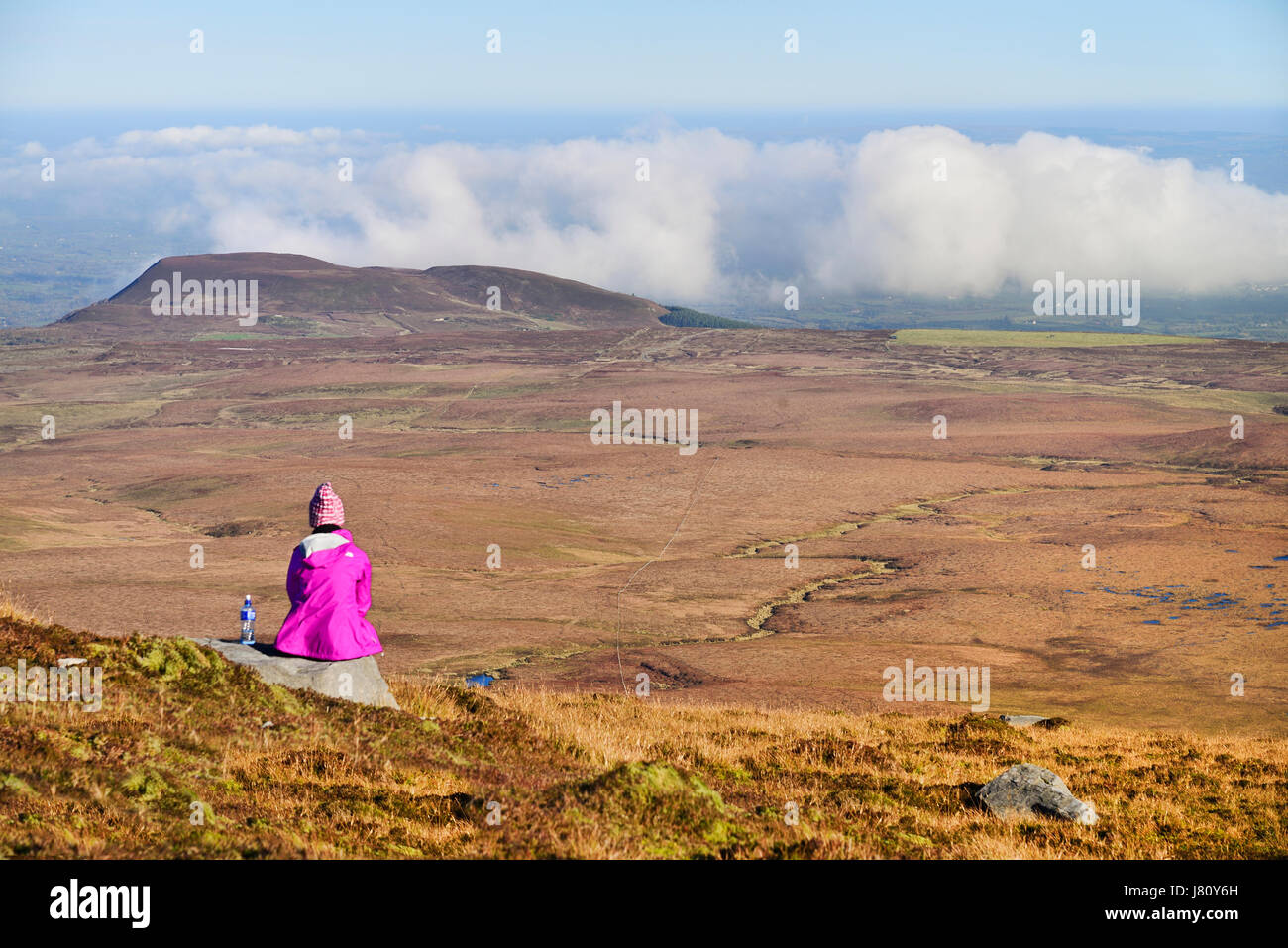 Ireland, County Fermanagh, Cuilcagh Mountain Park, Hiker enjoying the ...