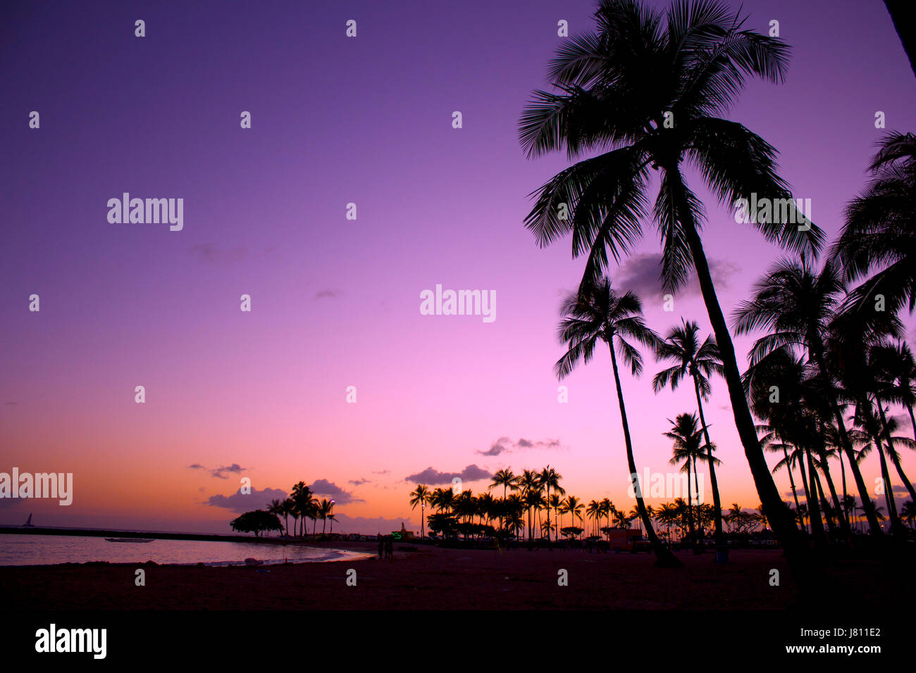 Hawaii Sunset Purple