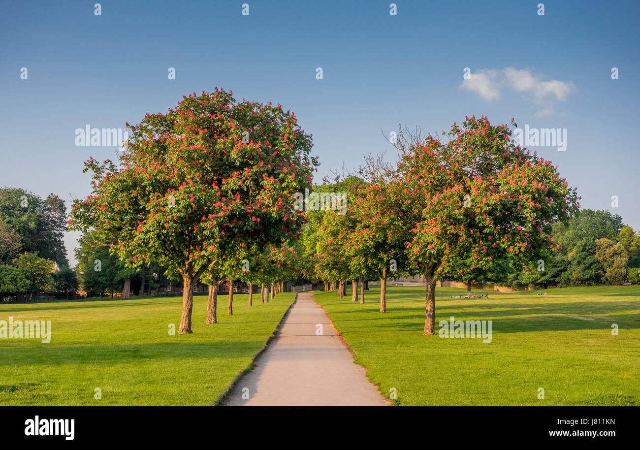 Wollaton Hall, Wollaton Park, Nottingham, UK Stock Photo - Alamy