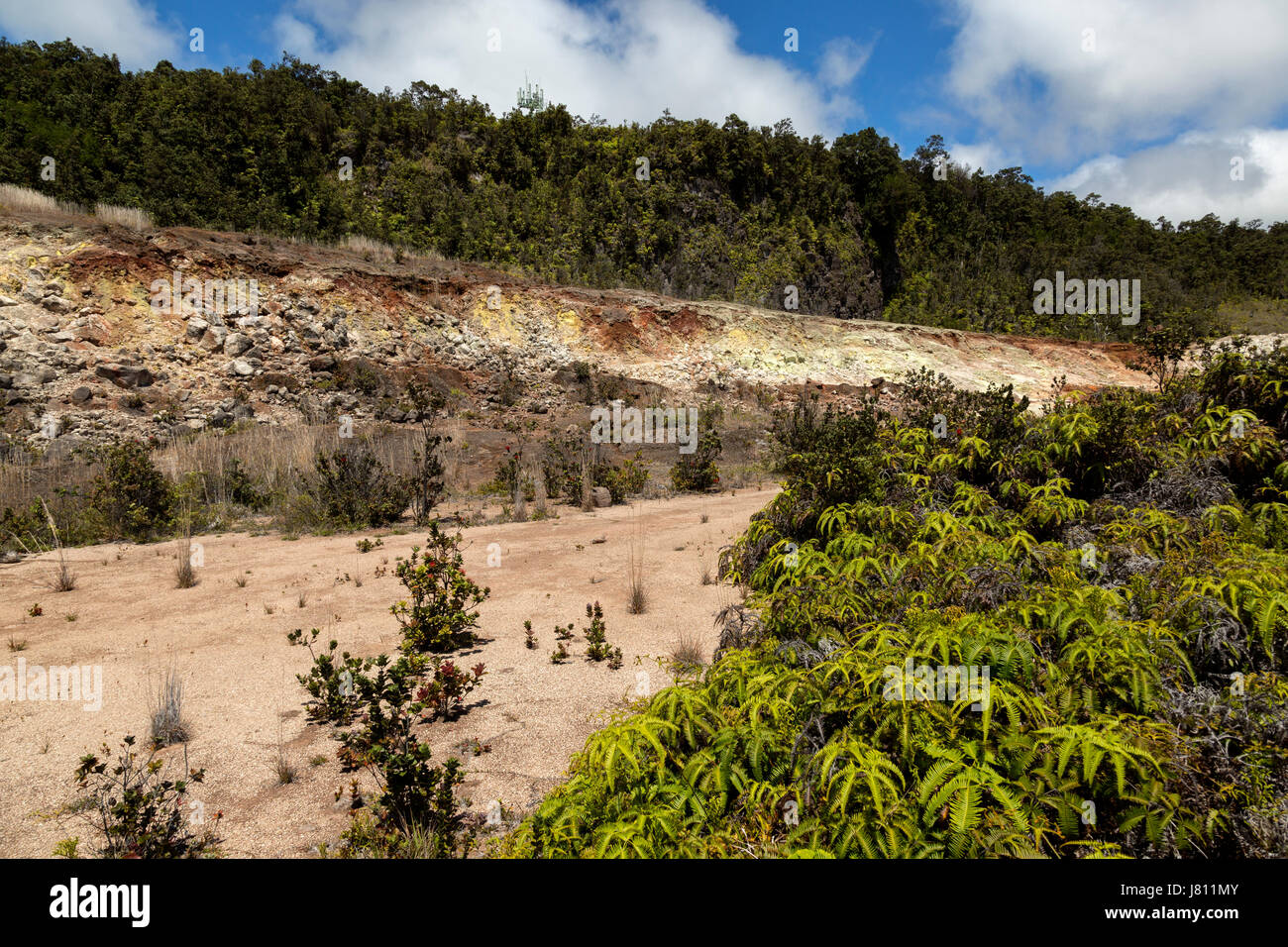 Vegetation volcanoes hi-res stock photography and images - Alamy