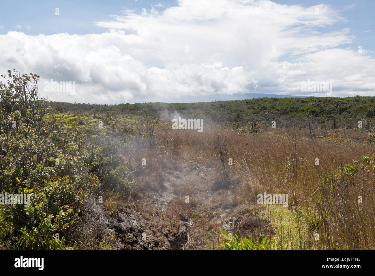 Steam vent fields in Volcanoes National Park Stock Photo - Alamy