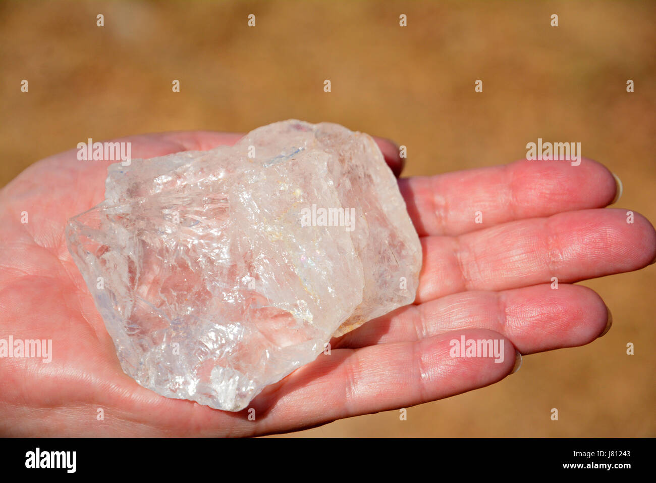 Hand holding one large crystal clear quartz rock Stock Photo - Alamy