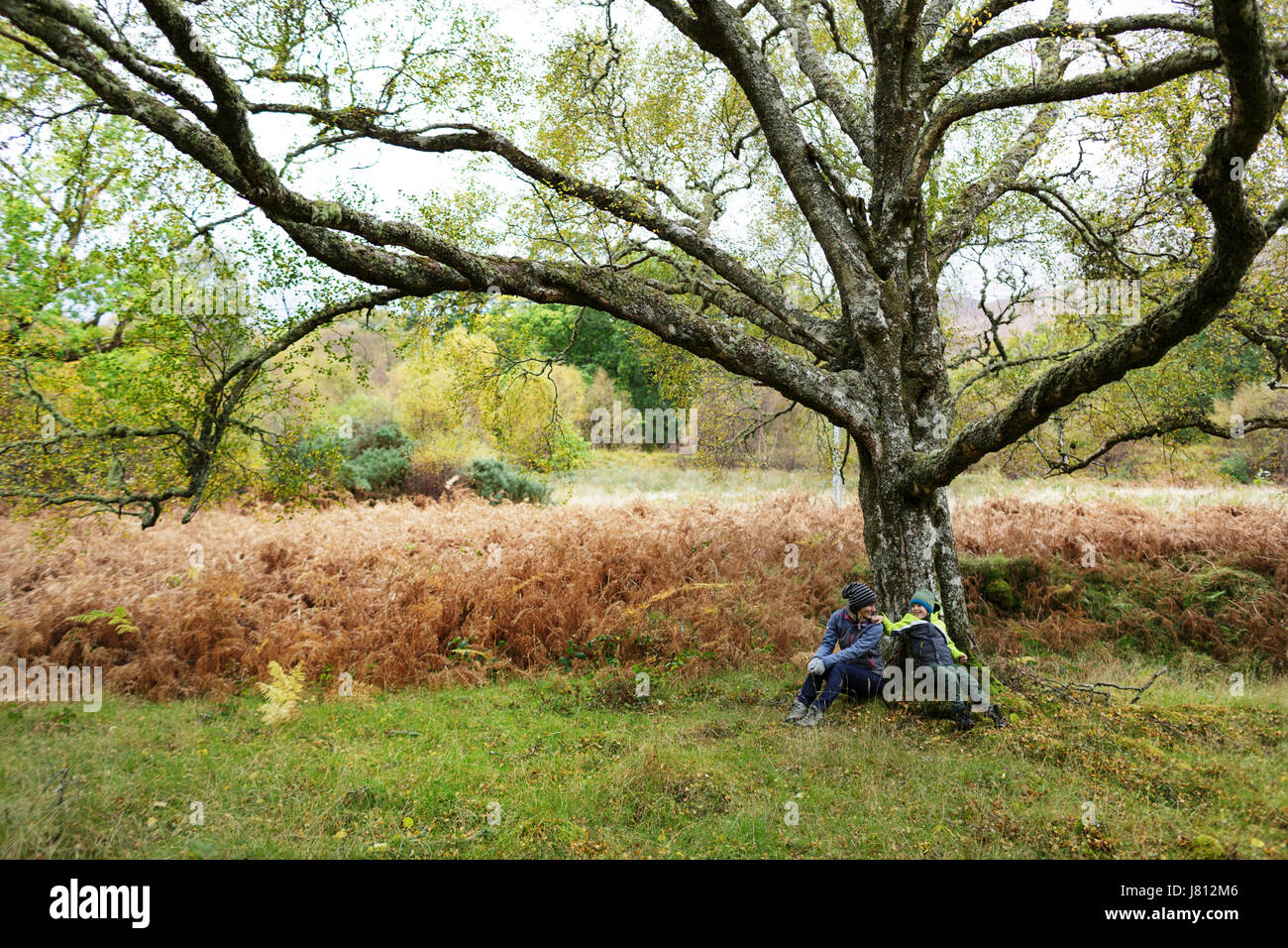 Mother and son cuddle under a big tree on a cloudy autumn day in ...