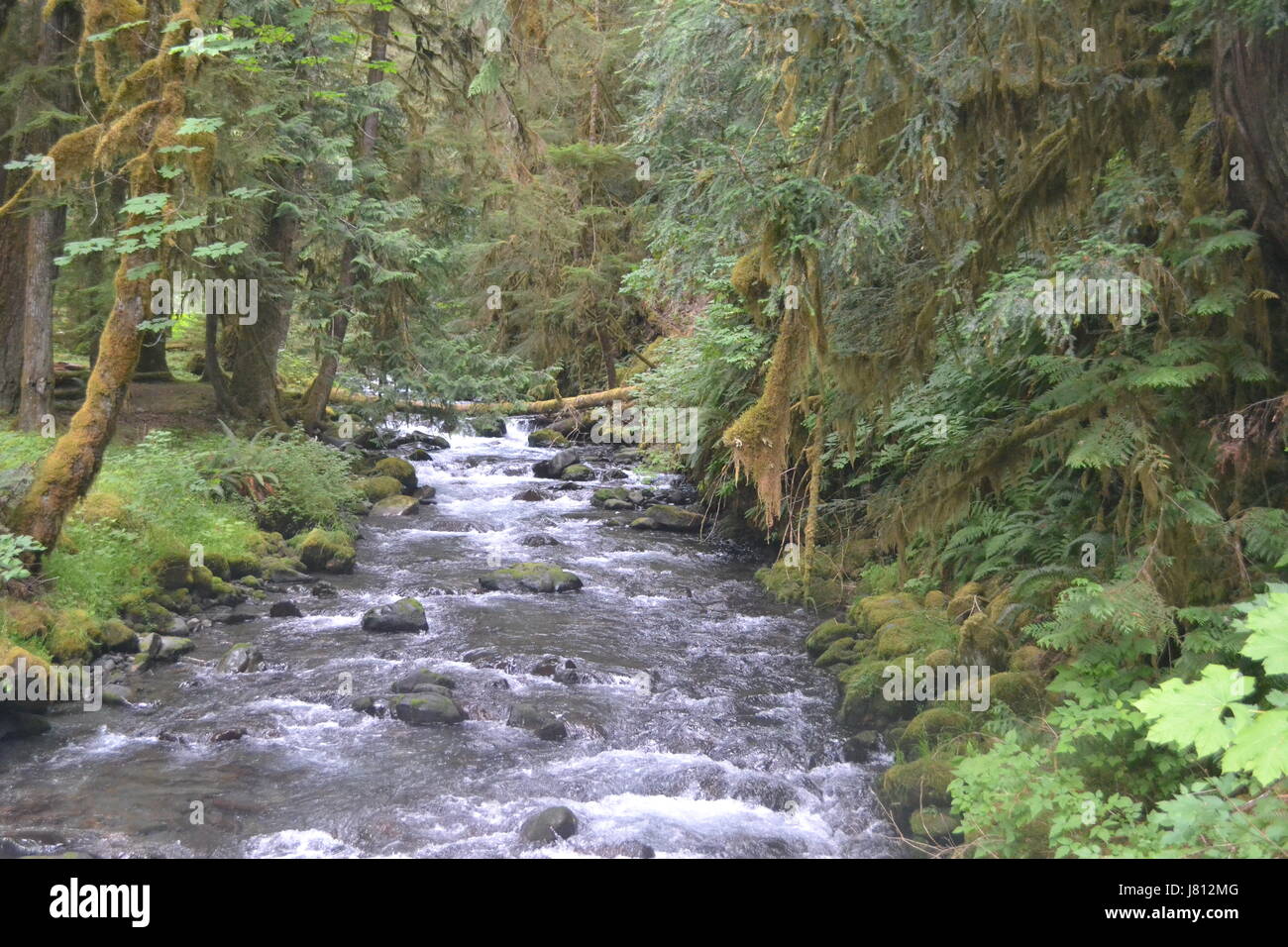 Peacful river hi-res stock photography and images - Alamy