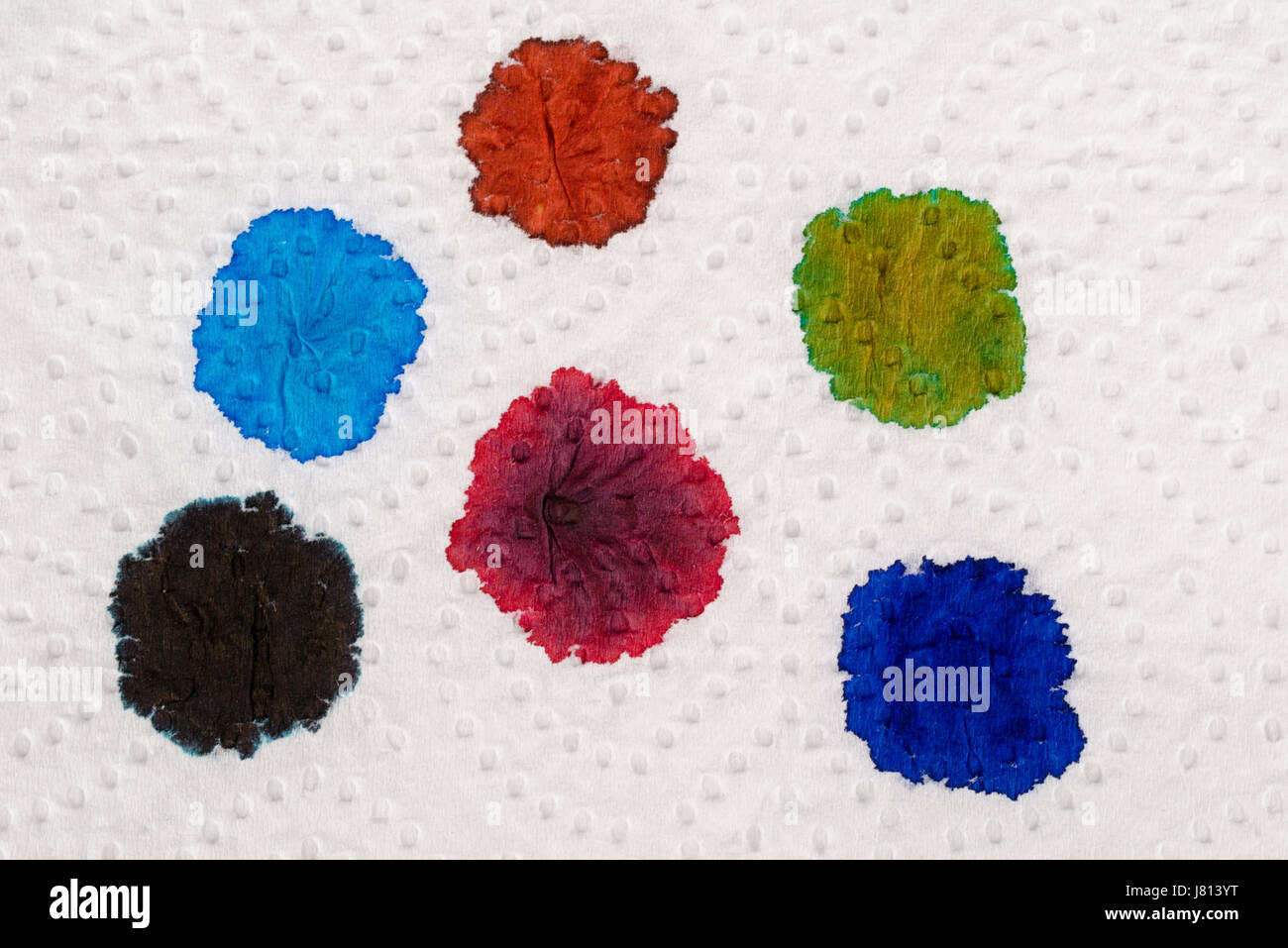 Several fountain pen ink colours on a sheet of white paper Stock Photo ...