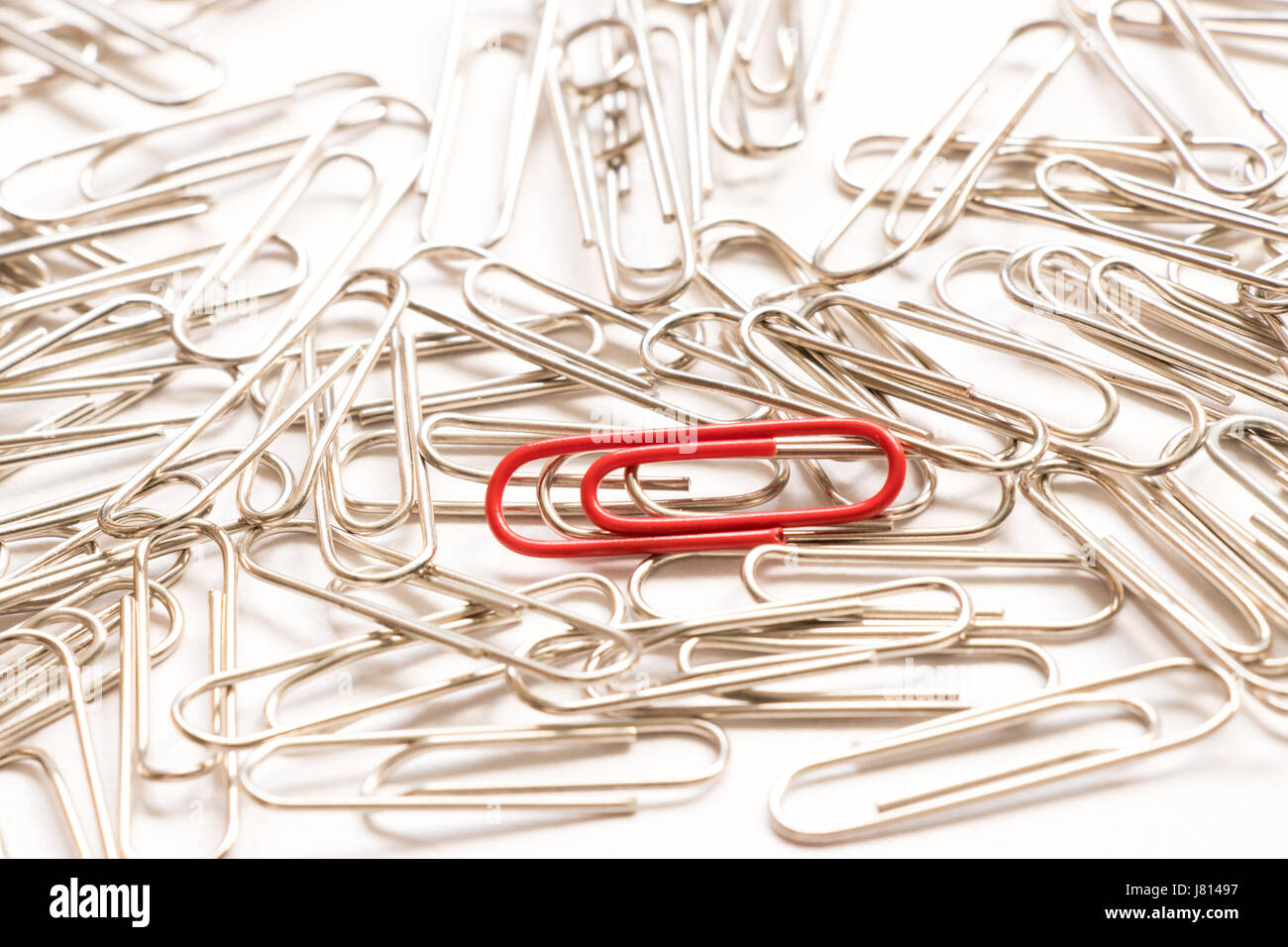 Red paper clip show different from the others on white background Stock ...