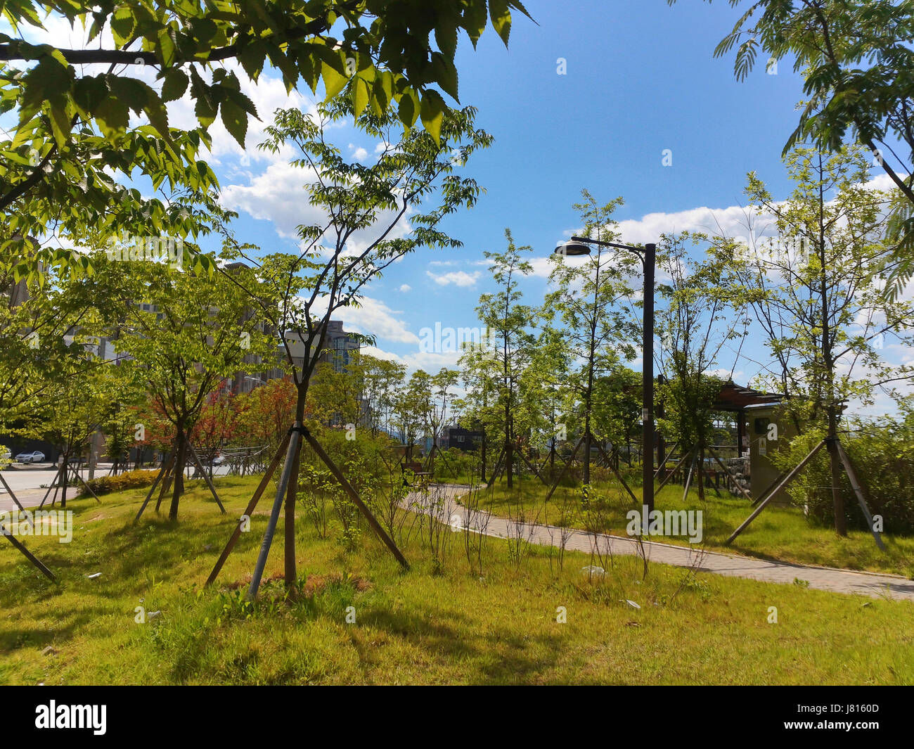 Beautiful botanical garden Stock Photo - Alamy