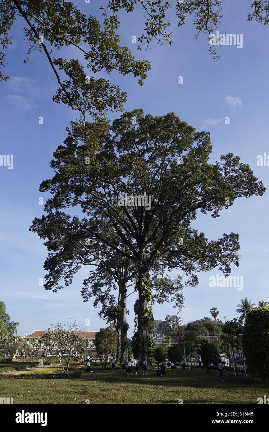 Royal gardens hi-res stock photography and images - Alamy