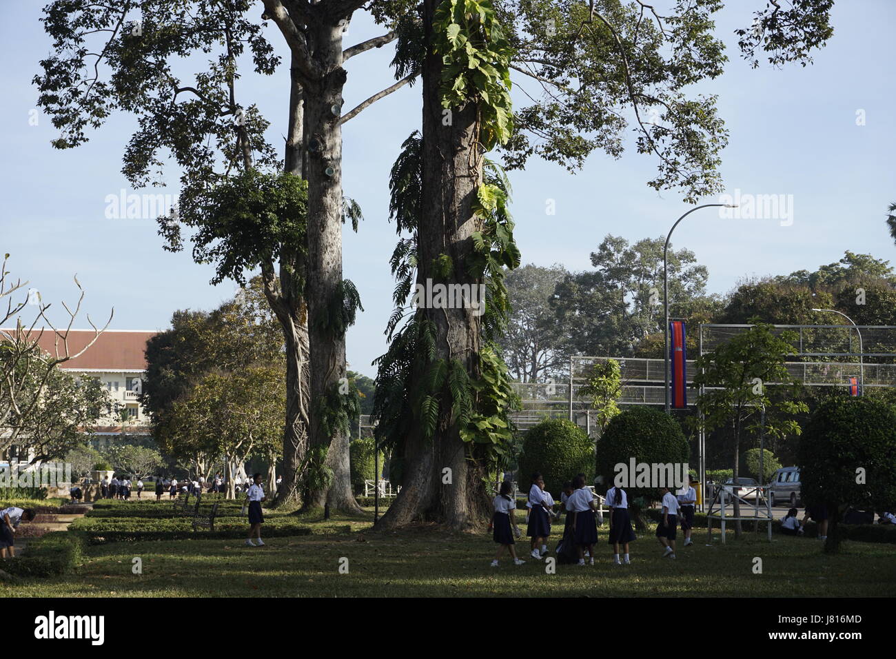 School garden gardens hi-res stock photography and images - Alamy
