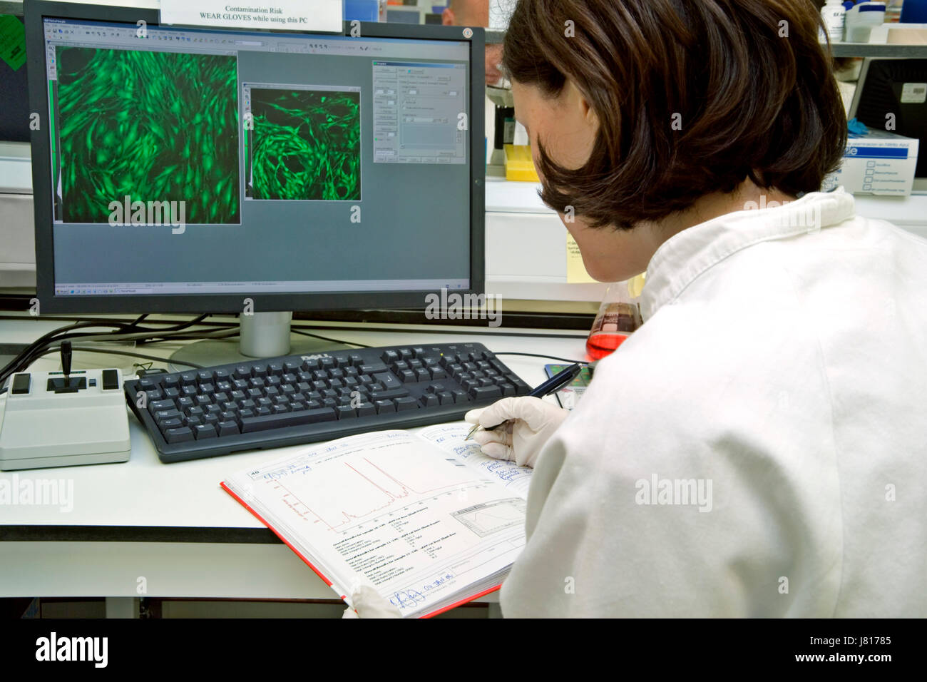 Scientist updates her work journal at the laboratory bench Stock Photo ...
