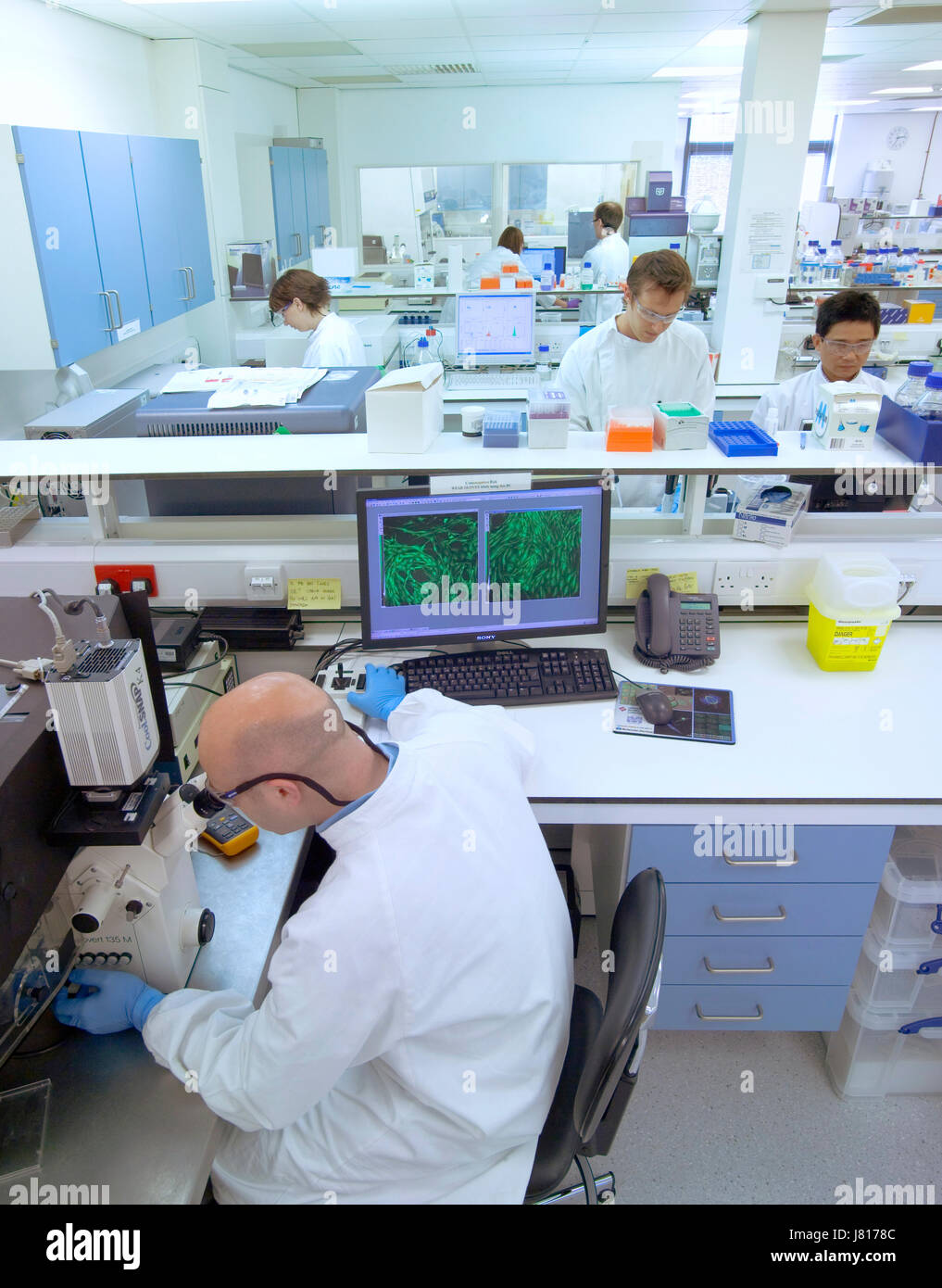Science lab uk scientist workplace hi-res stock photography and images ...