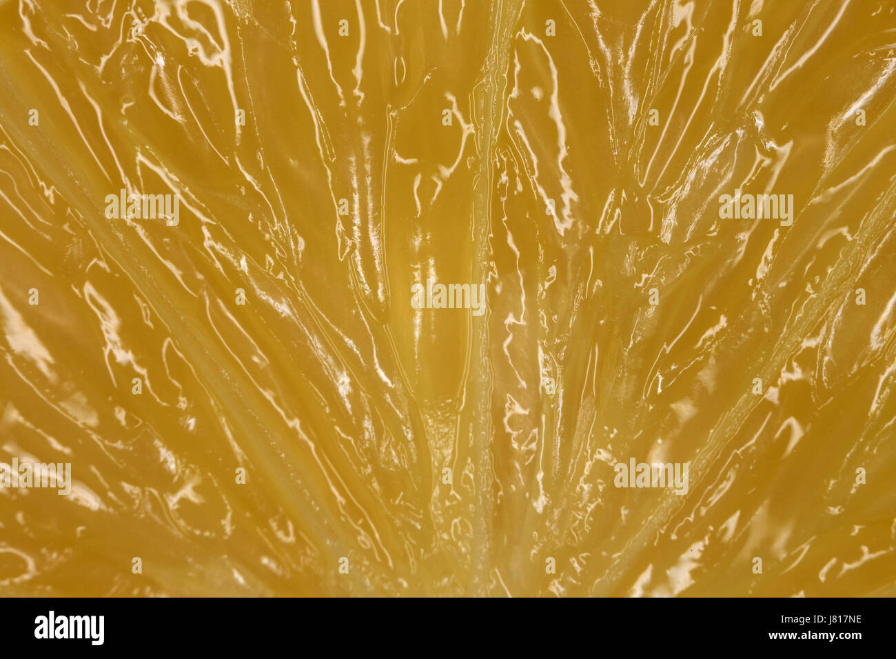 Structure of a lemon close up macro photo Stock Photo - Alamy