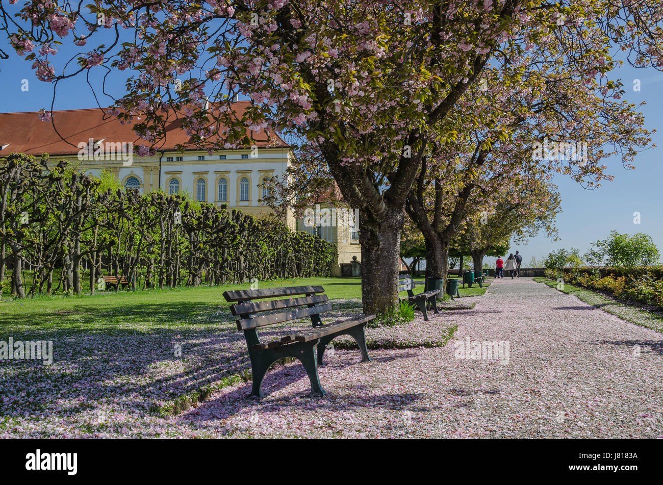 Dachau nowadays is first of all connected with the first German ...