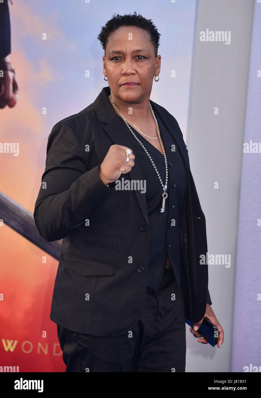 Los Angeles, USA. 25th May, 2017. Ann Wolfe 178 at the premiere of ...