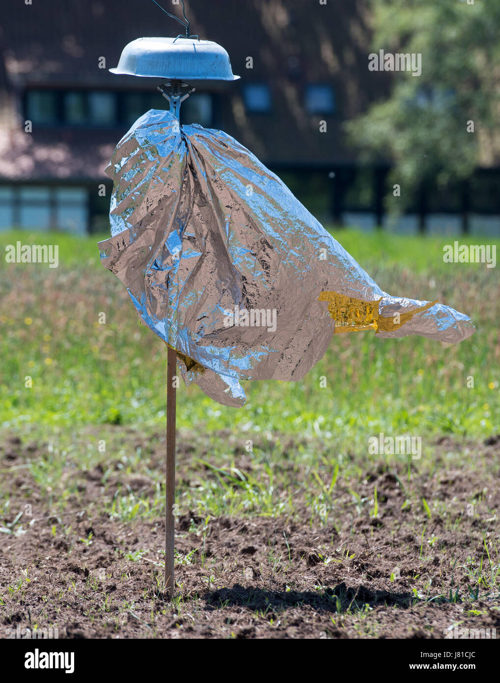 Fischerhude, Germany. 26th May, 2017. A scarecrow wearing a "space ...