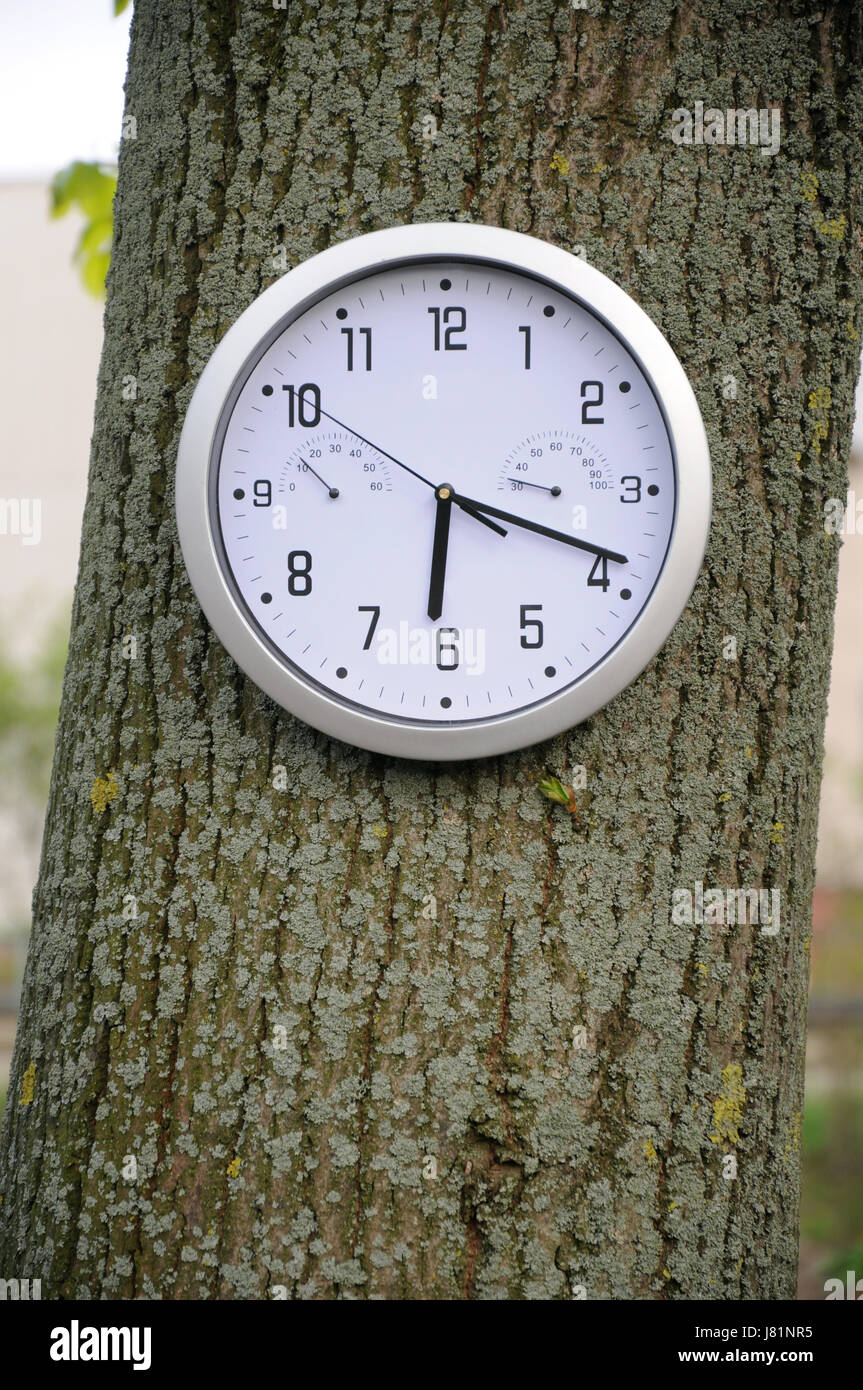 clock pointer time hour minute clock hand chronometer tree clock ...