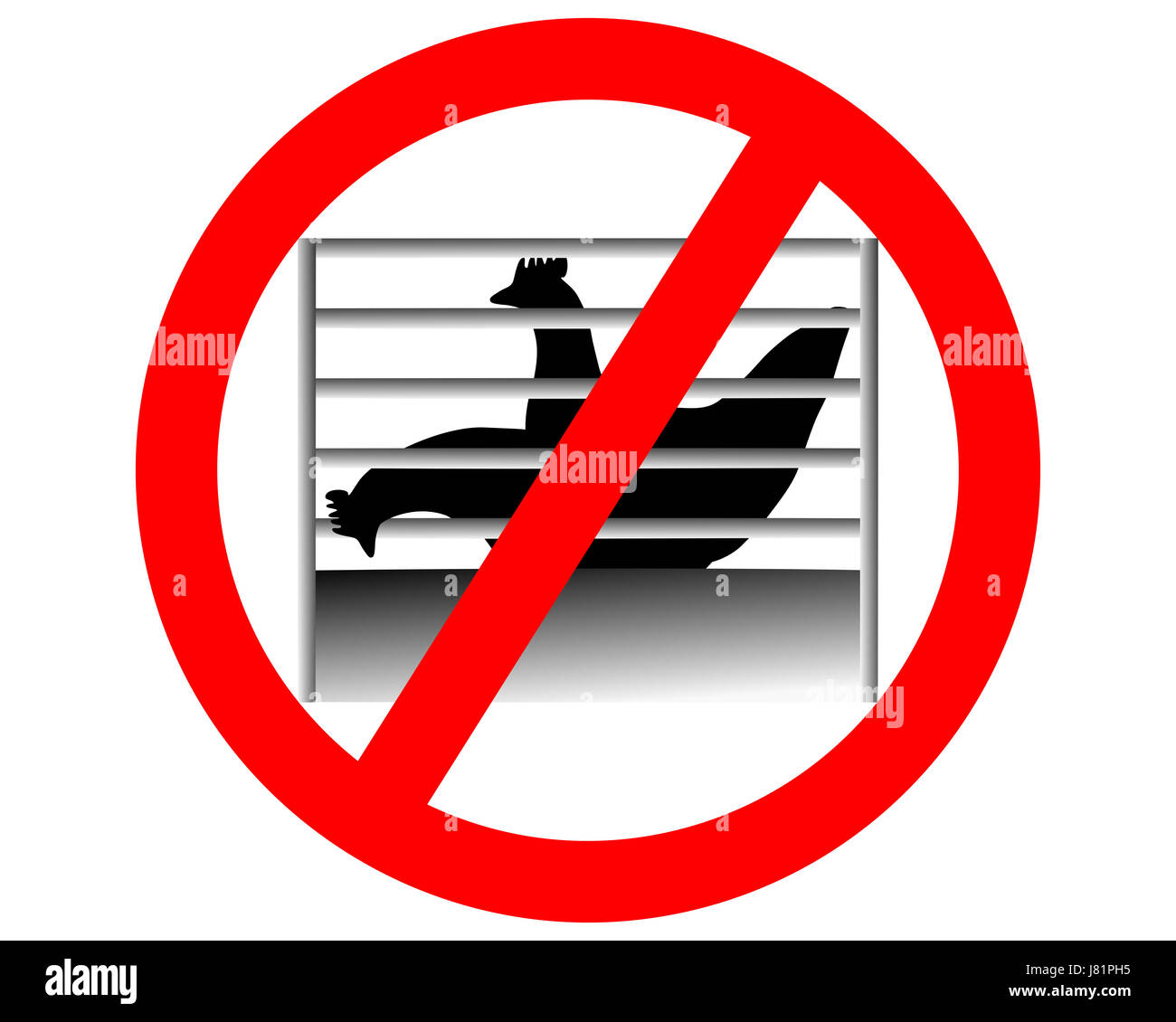 forbidden caging chicken Stock Photo - Alamy