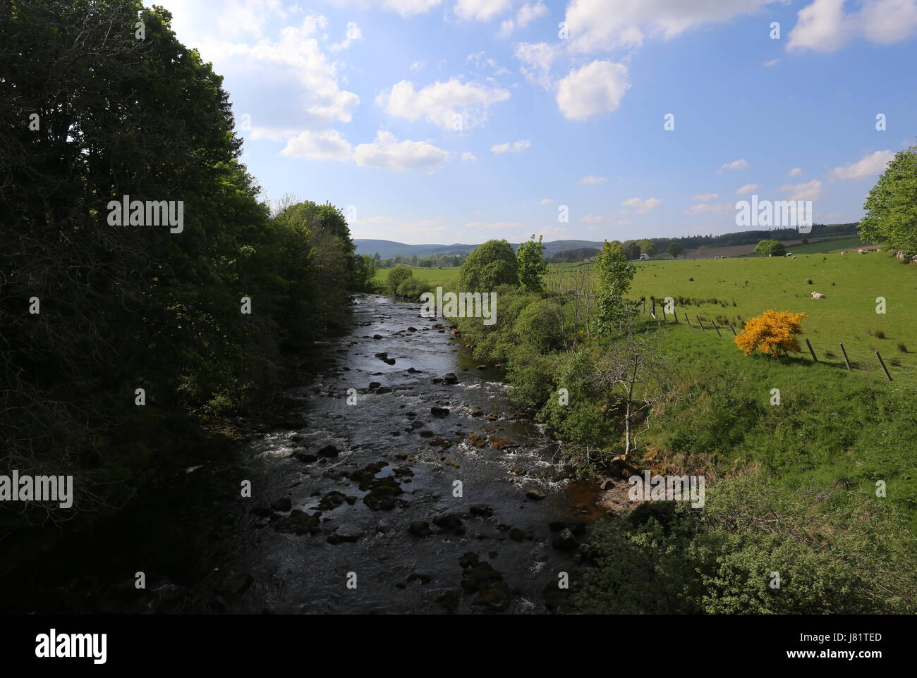 River Isla in Glen Isla near Bridge of Craigisla Scotland May 2017 ...