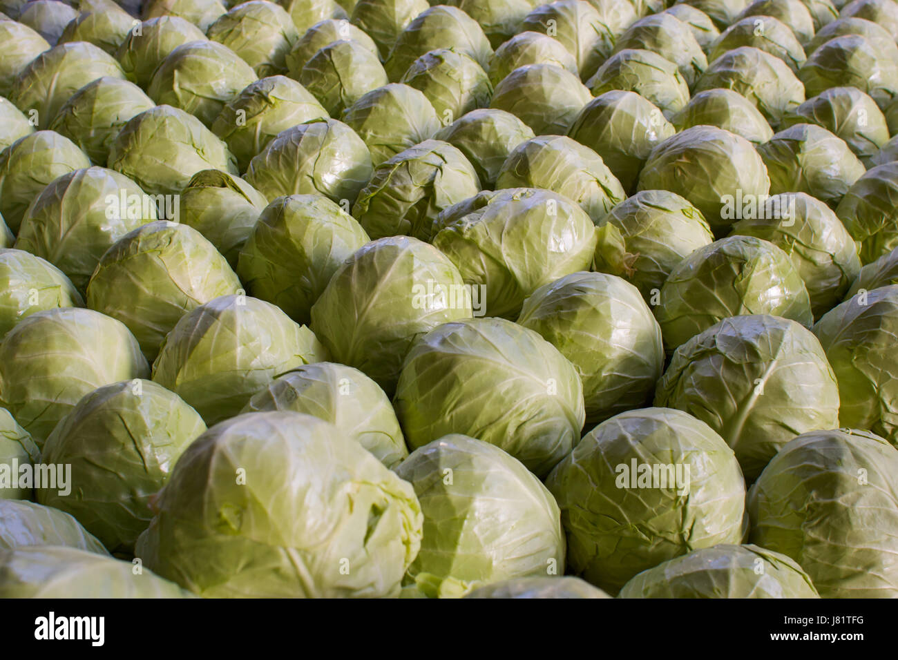 food aliment health sweet colour agriculture farming freshness kiosk ...