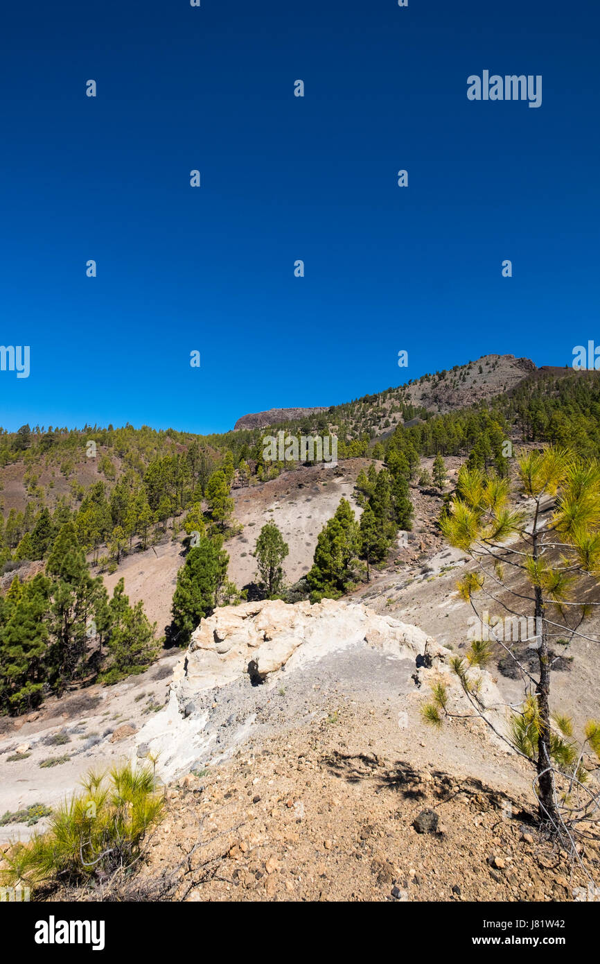 Stone outcrop hi-res stock photography and images - Alamy