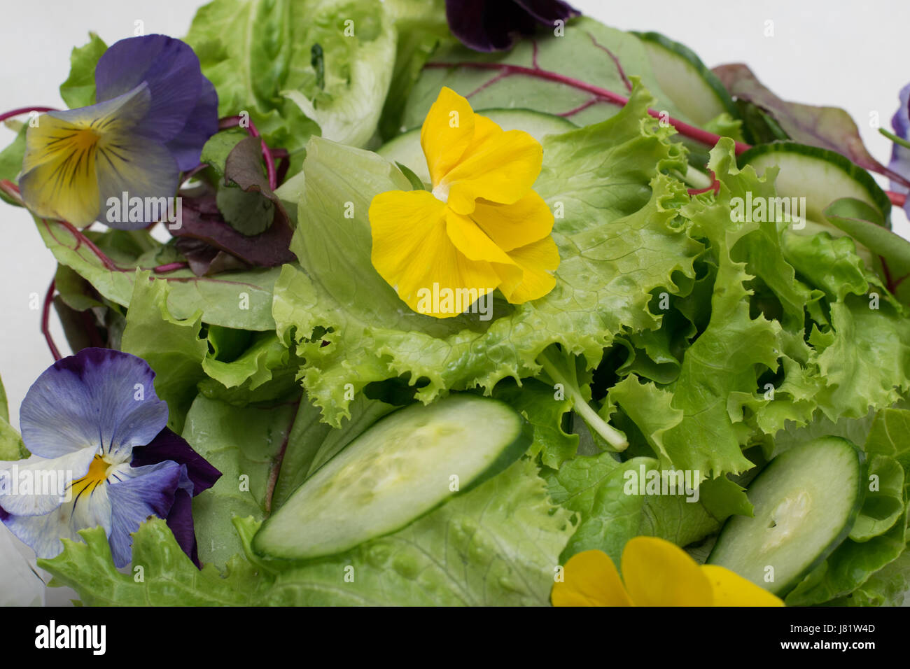 colourfull salad with flowers of viola tricolor Stock Photo - Alamy