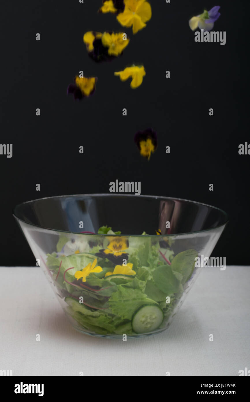 Colourfull border garden hi-res stock photography and images - Alamy