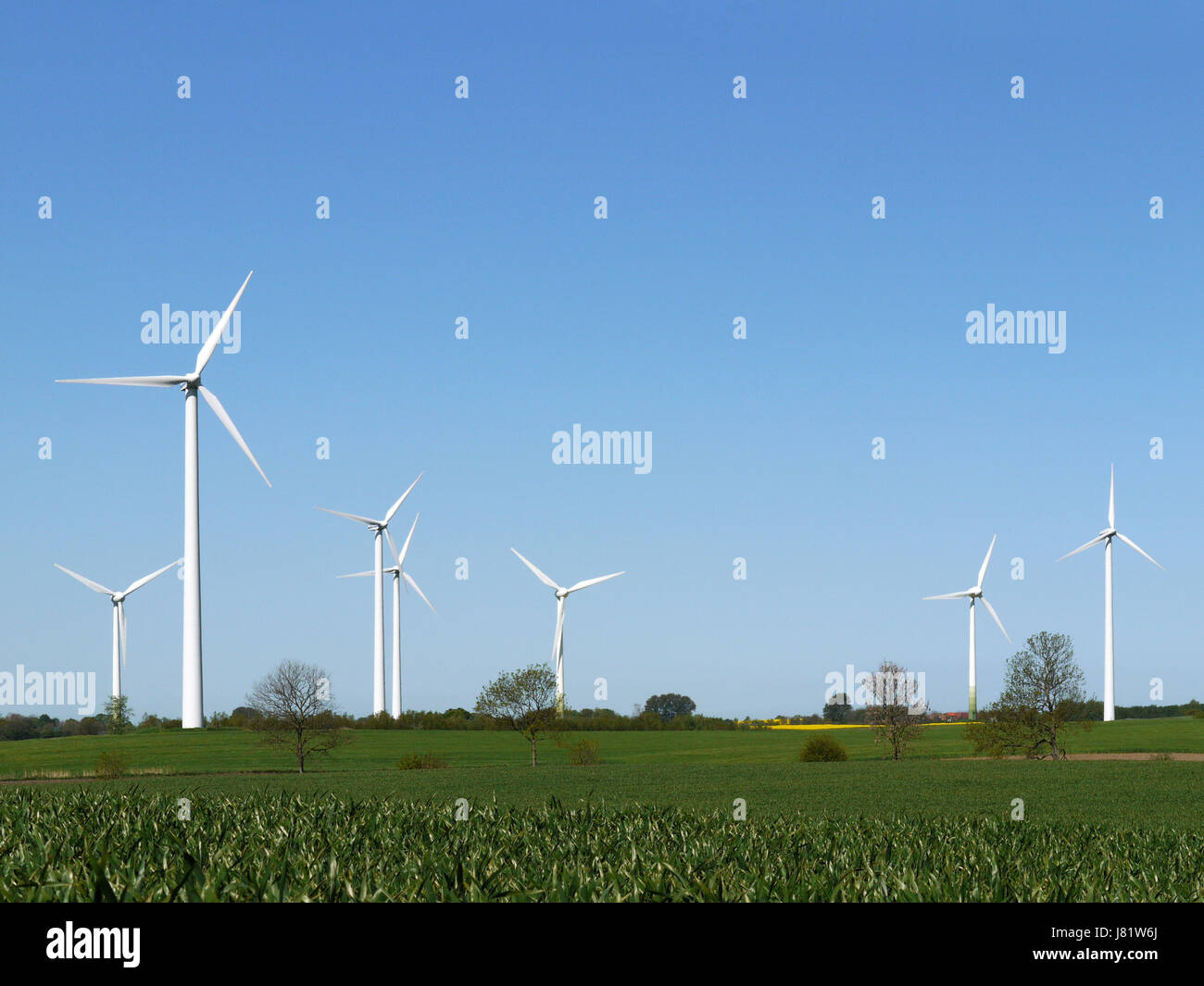 wind energy wind engine pinwheels pinwheel blue coleseed agriculture farming Stock Photo - Alamy