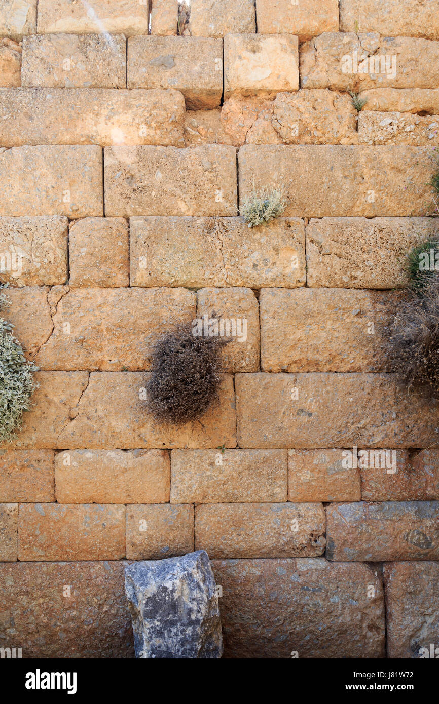 Ancient greek big stone bricks in Knidos with bushes in Datca, Turkey ...