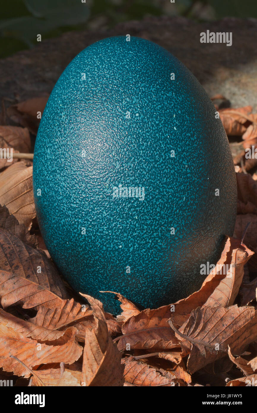 blue beautiful beauteously nice objects big large enormous extreme ...