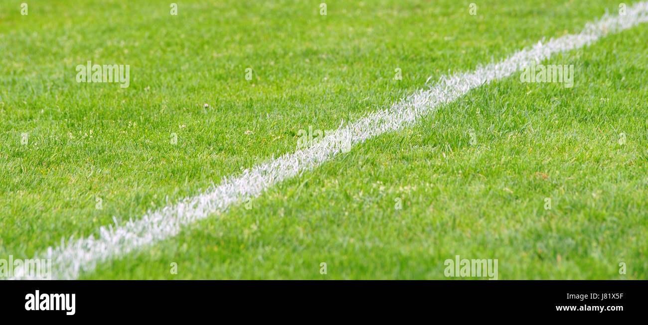 football pitch with diagonal line - soccer grass Stock Photo - Alamy