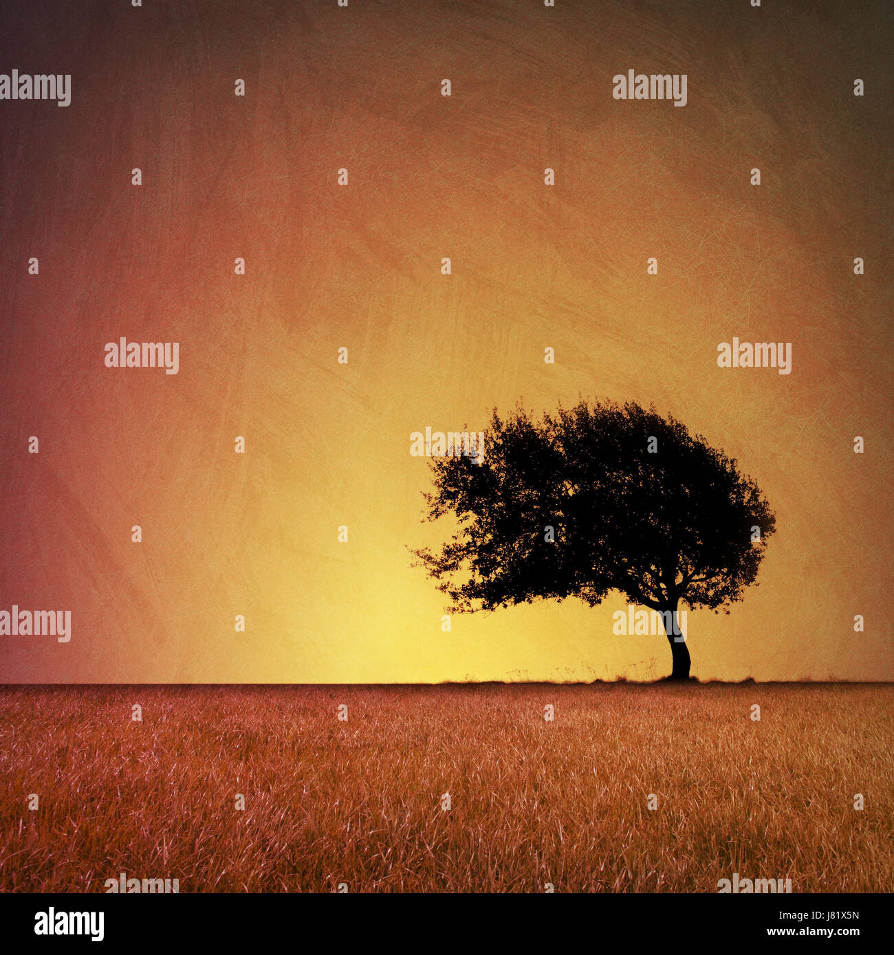 tree tree horizon field illustration country landscape scenery ...