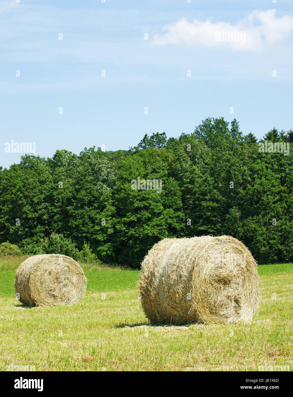 nature landscape & hay harvest - nature & hay Stock Photo - Alamy