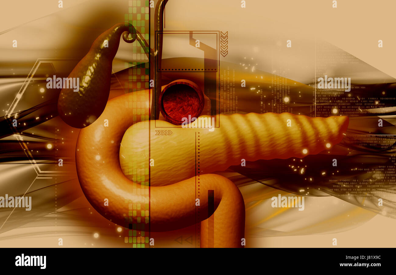 health medicinally medical graphics colour human human being ...