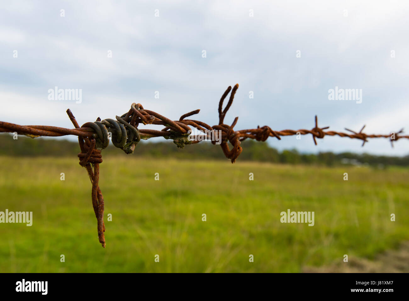 Tangled fence wire hi-res stock photography and images - Alamy