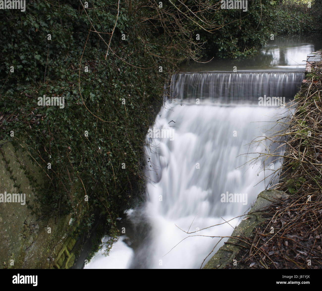 flow waterfall helix speed velocity ivy water flow wall waterfall helix ...