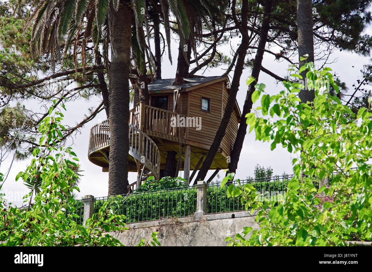 house building travel game tournament play playing plays played tree ...