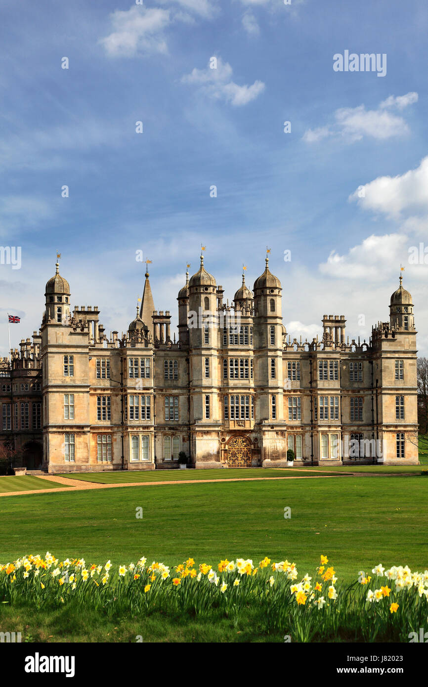 Spring Daffodils, Burghley House stately home, Cambridgeshire, England ...