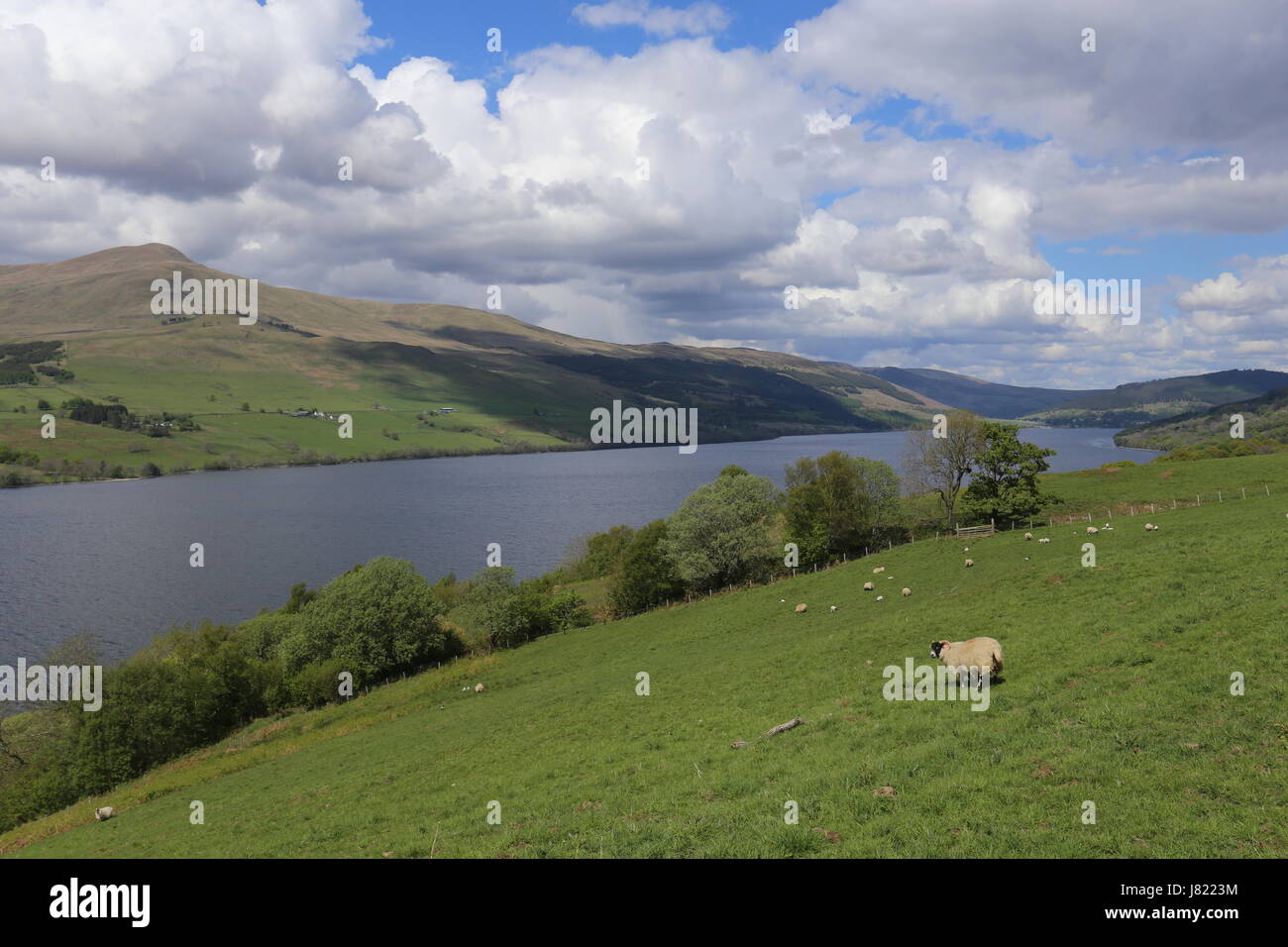 Elevated view of Loch Tay Scotland May 2017 Stock Photo - Alamy