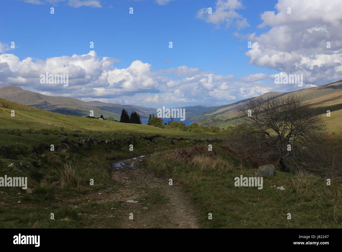 Rob Roy Way with distant Loch Tay Scotland May 2017 Stock Photo - Alamy