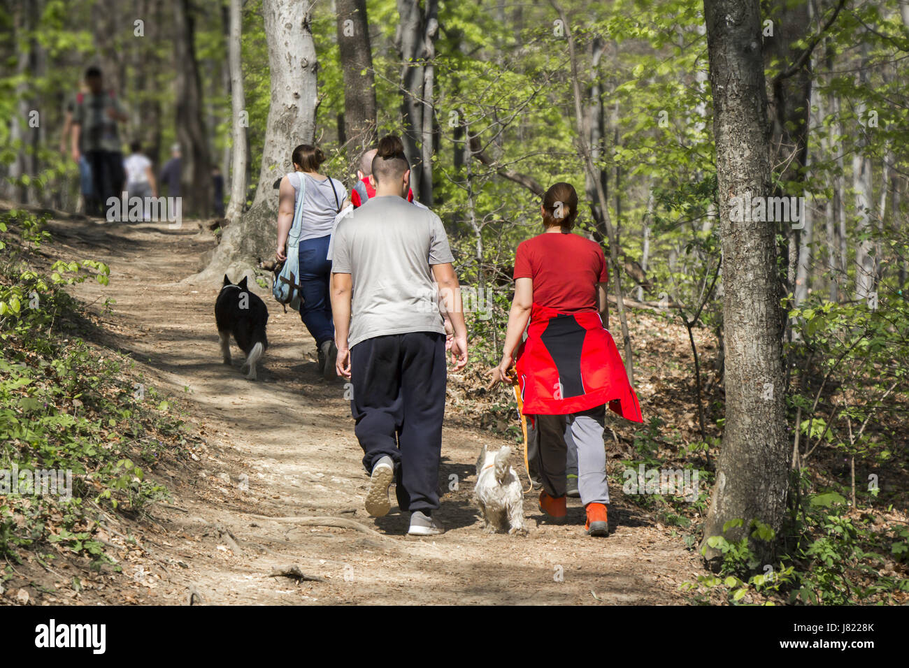 Walk friends in woods hi-res stock photography and images - Alamy