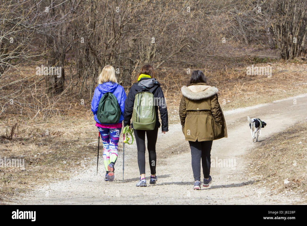 Group of young girls hikers in a walk in nature Stock Photo - Alamy