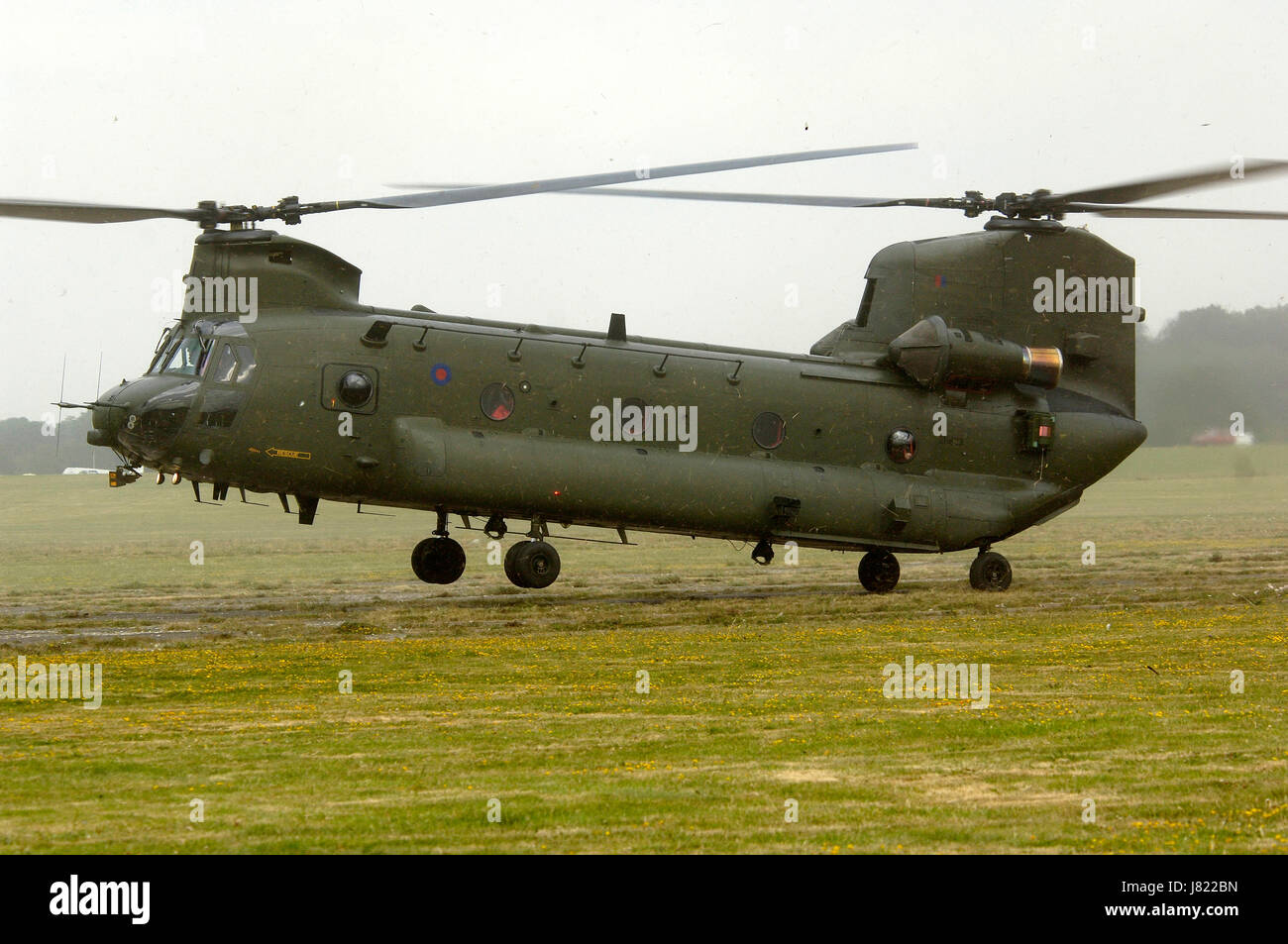 Royal Air Force Boeing Chinook landing at airfield Stock Photo - Alamy