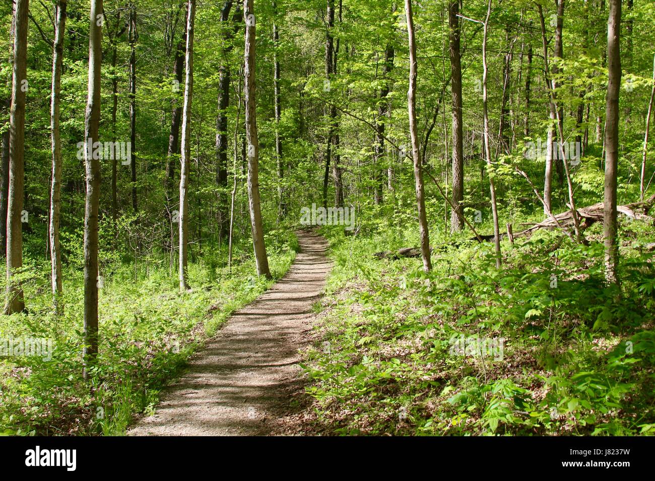 Trails plants in parks hi-res stock photography and images - Alamy