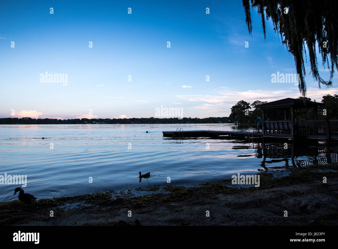 Moonlight Lake Shore Night High Resolution Stock Photography and Images ...