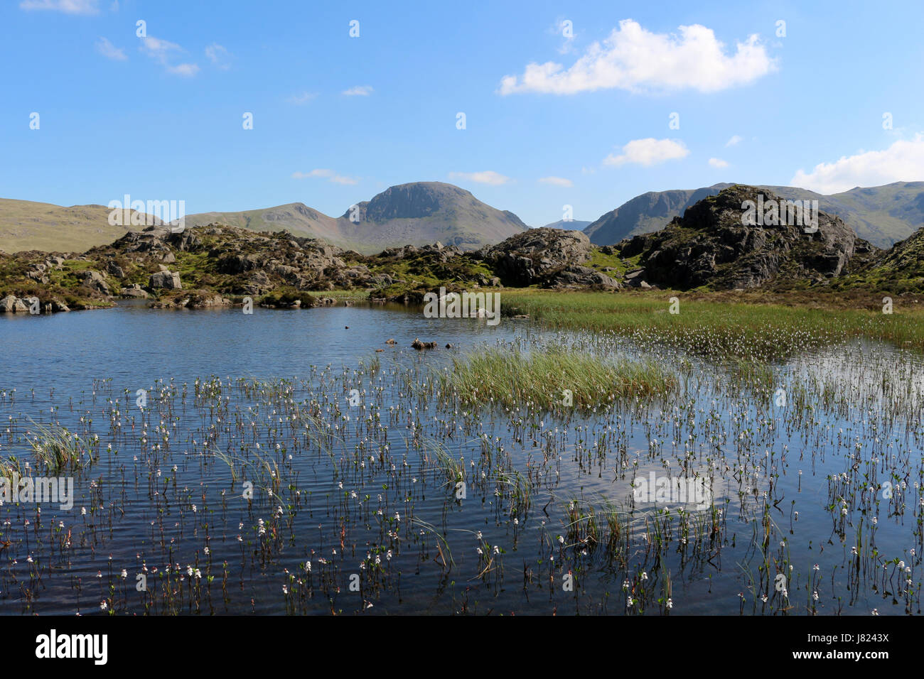 Alfred wainwright lake district tarn hi-res stock photography and ...