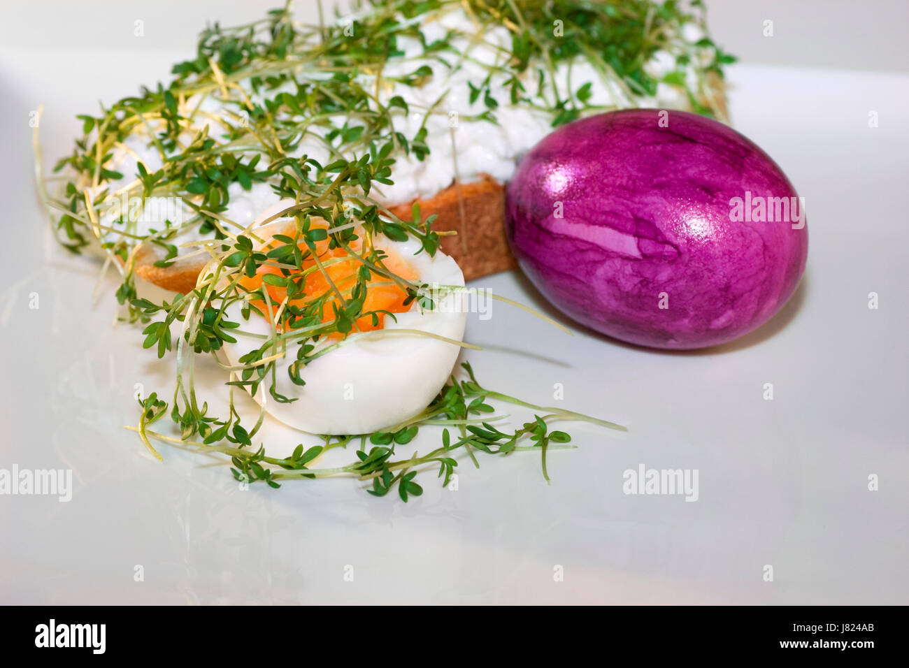 blank european caucasian easter easter egg egg cress curd curds ...